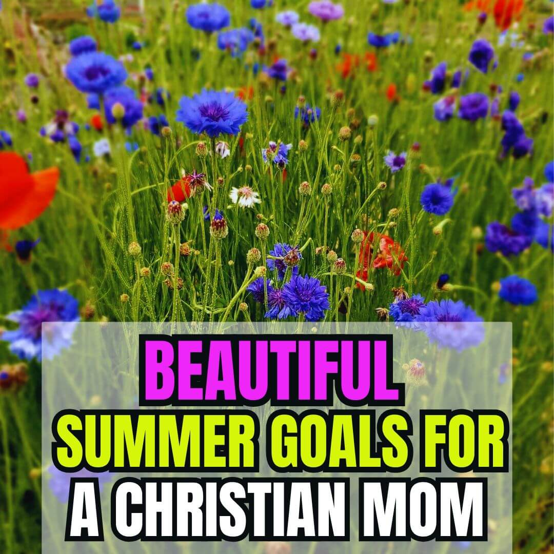 20 Amazing Summer Goals For A Christian Mom